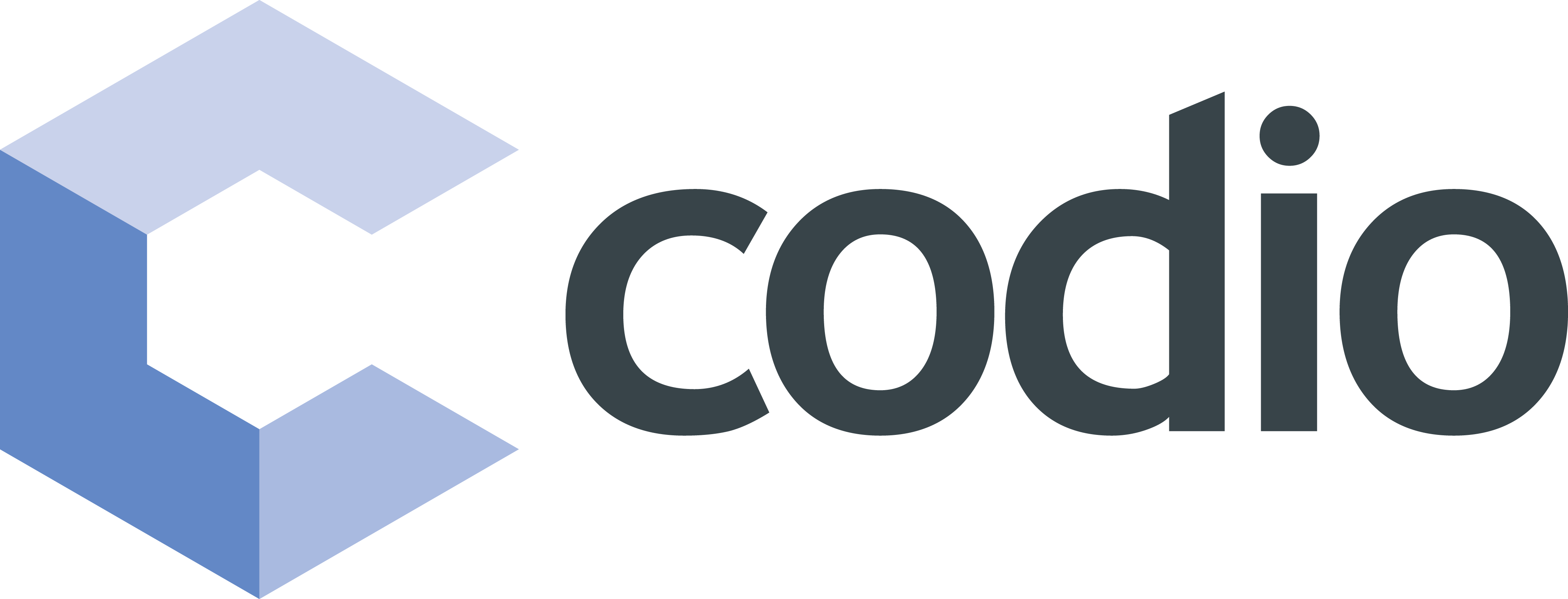Codio Review (2026) — Does It Actually Teach? | The Learning Standard